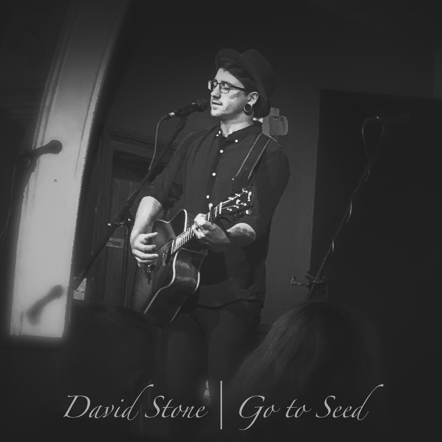 David Stone - Go to Seed - Music Publishing: Unlocking Artist Potential