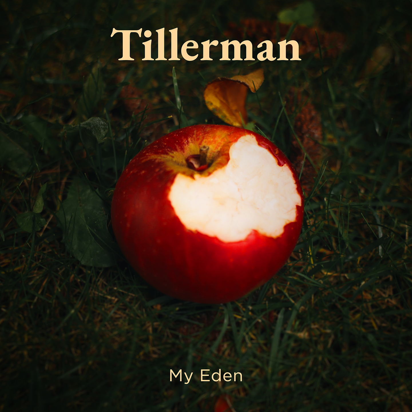 Tillerman - My Eden - Music Publishing: Unlocking Artist Potential